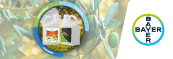 Dos de los productos estrella de BASF, LOVIT® y COMET® se unen para ...